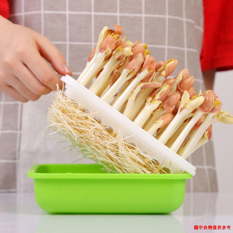 New Peanut Sprout Hydroponic Box Box Germinated Peanut Sprout Tray Peanut Seedling Planting Tray ...