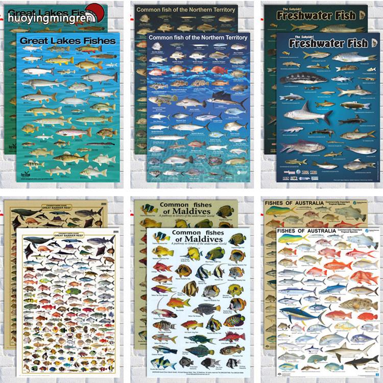 Fish Illustrated Book Poster Marine Seafood Aquatic Products ...