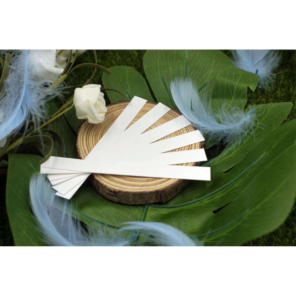 Perfume Test Paper, Smell Fragrance Essential Oil Paper | Shopee Malaysia