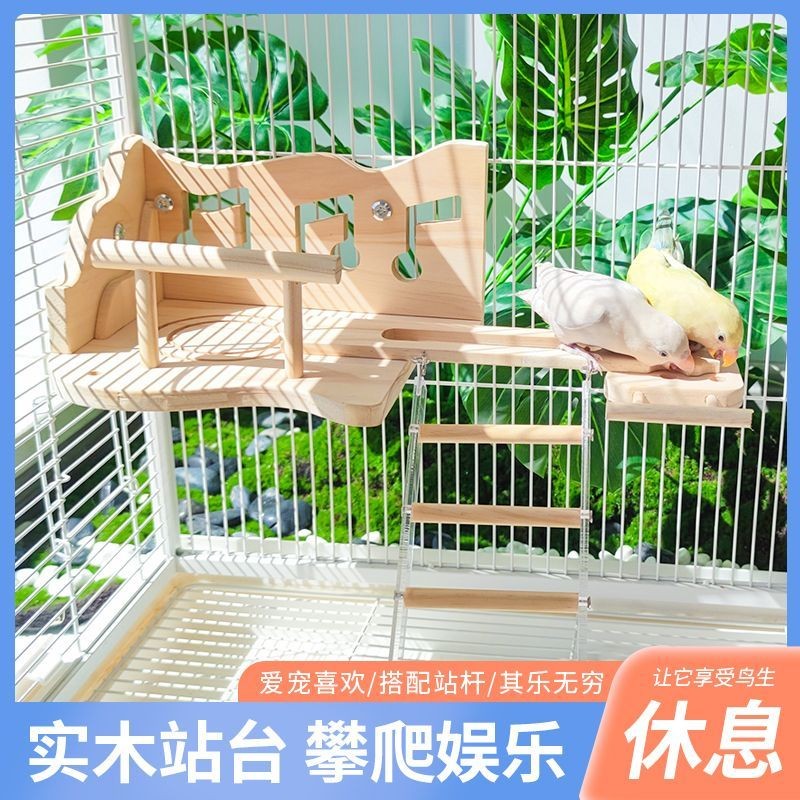 [MOMO] Parrot Solid Wood Platform Station Pole Climbing Stairs Habitat ...
