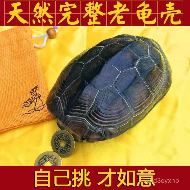 New Store Low Price Real Tortoise Shell Six-Yao Tool Shaking Gua Set ...