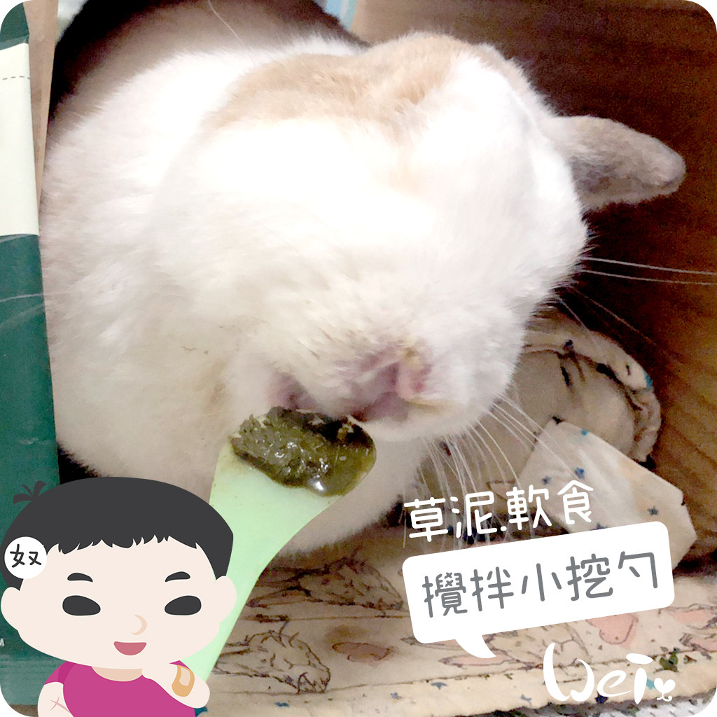Wei He Ma-Soft Food/Grass Puree Stirring Small Spoon (Rabbit Guinea Pig ...