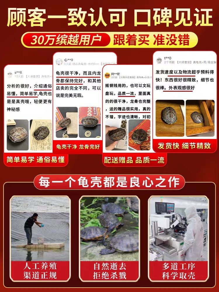 New Store Low Price Real Tortoise Shell Six-Yao Tool Shaking Gua Set ...