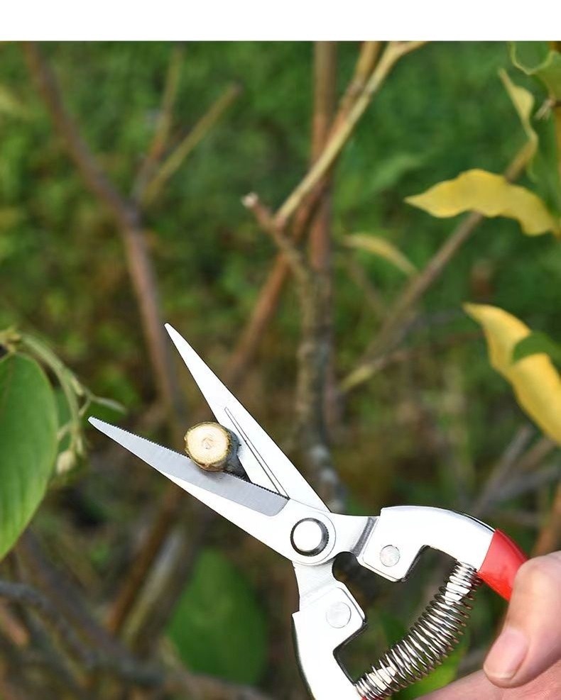 Next Day Arrival Gardening Vegetable Fruit Flower Shears Picking Clip ...