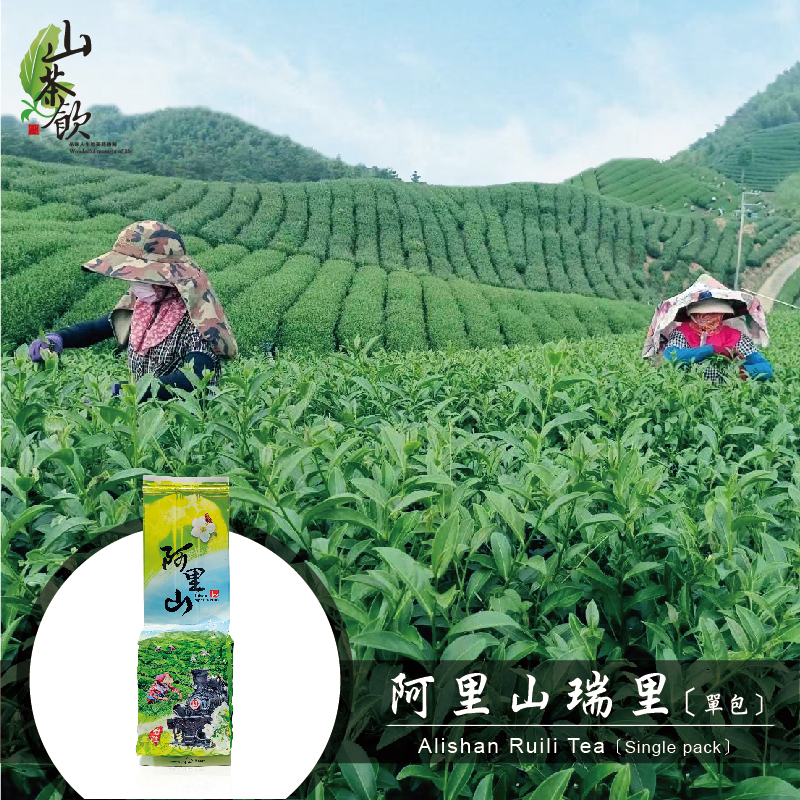 [Mountain Tea Drink] ️ 2025 Spring Alishan Ruili Jinxuan 150g Alpine ...
