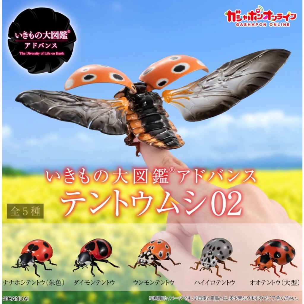 BANDAI Premium Capsule Toy [Egg Lebao] | Shopee Malaysia