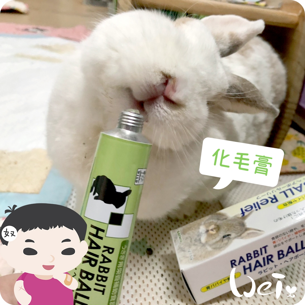 Wei He Ma-Japan SANKO Love Rabbit Hair Cream 50g (Rabbit Guinea Pig ...