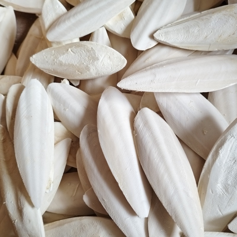 Taiwan Invoice Cuttlefish Bone Calcium Supplement Non-Bleaching Salted ...