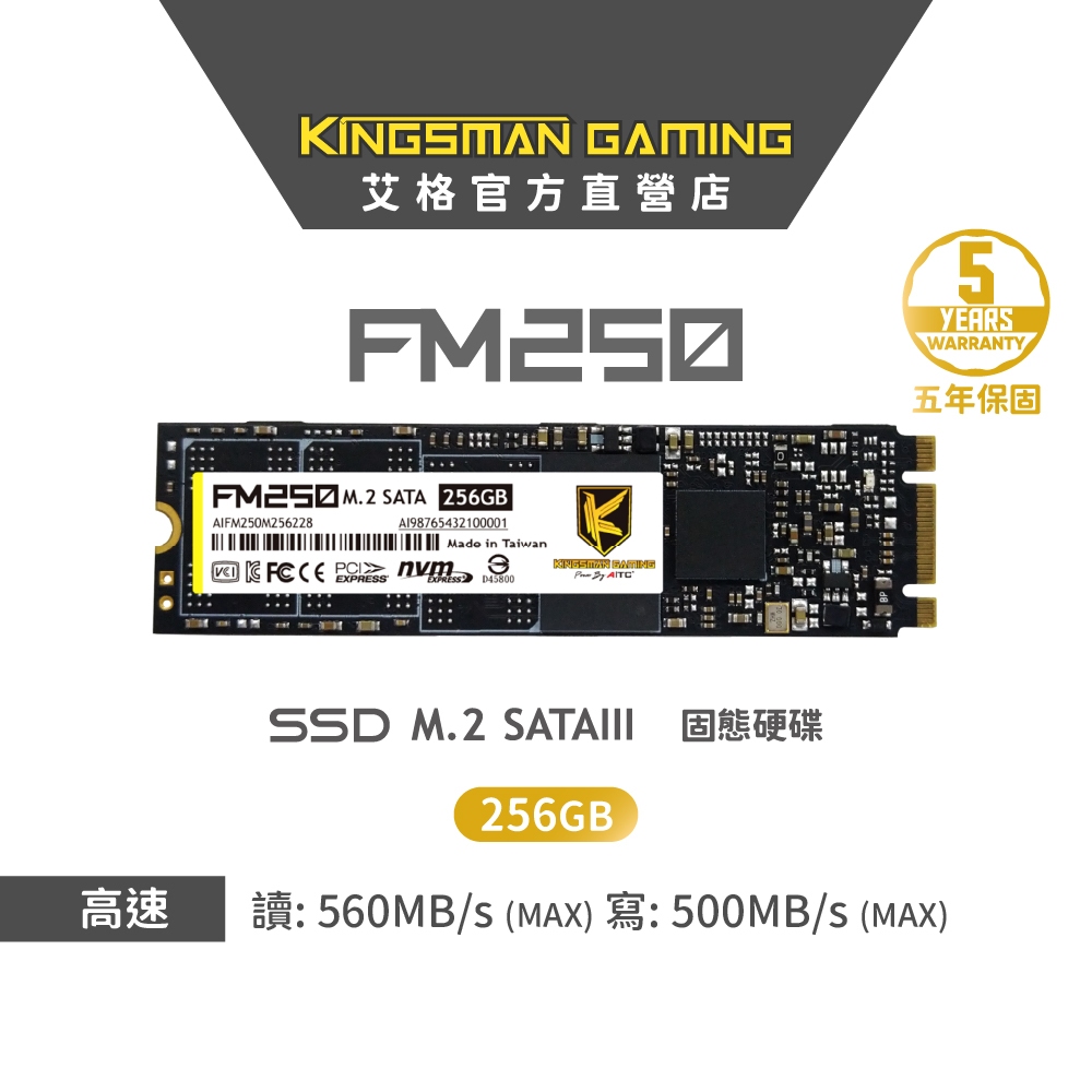 [AITC] AITC FM250 SSD 256GB M.2 2280 SATAIII Solid State Drive | Shopee Malaysia