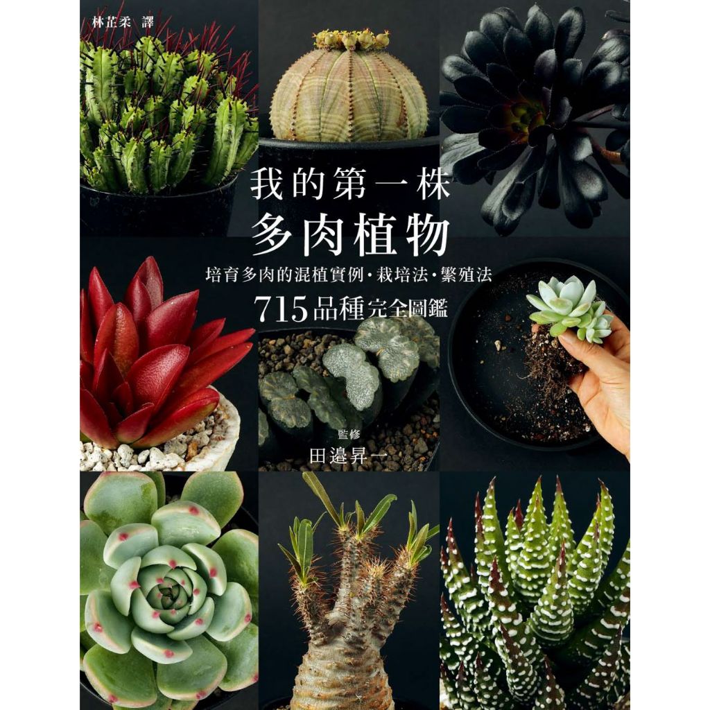 My First Plant Succulents 715 Varieties Complete Illustrated Book ...