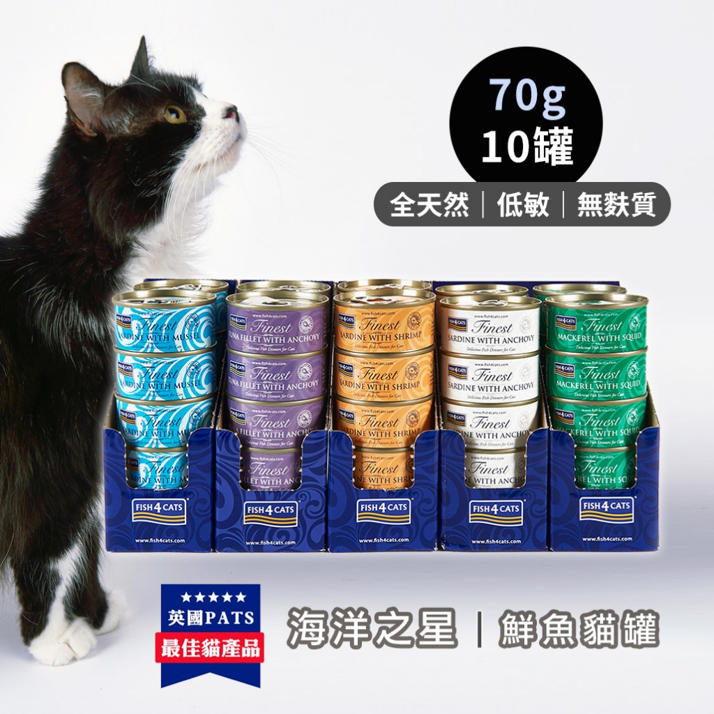 FISH4CATS Ocean Star Fresh Fish Cat Cans One Box (70gx10 Cans) Canned Food Non-Staple (Various ...