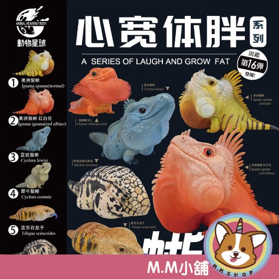 [M.M Shop] Animal Planet Heart Wide Body Fat Series 16th Bomb Lizard ...