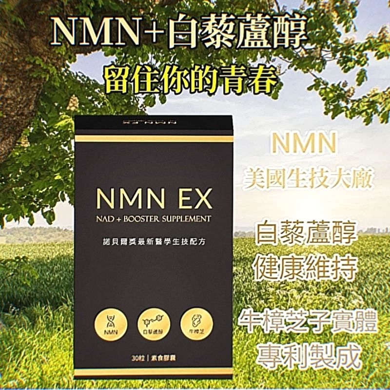 Xiaohan Store [NMN+Resveratrol] Powerful Formula NAD+Supplement ...