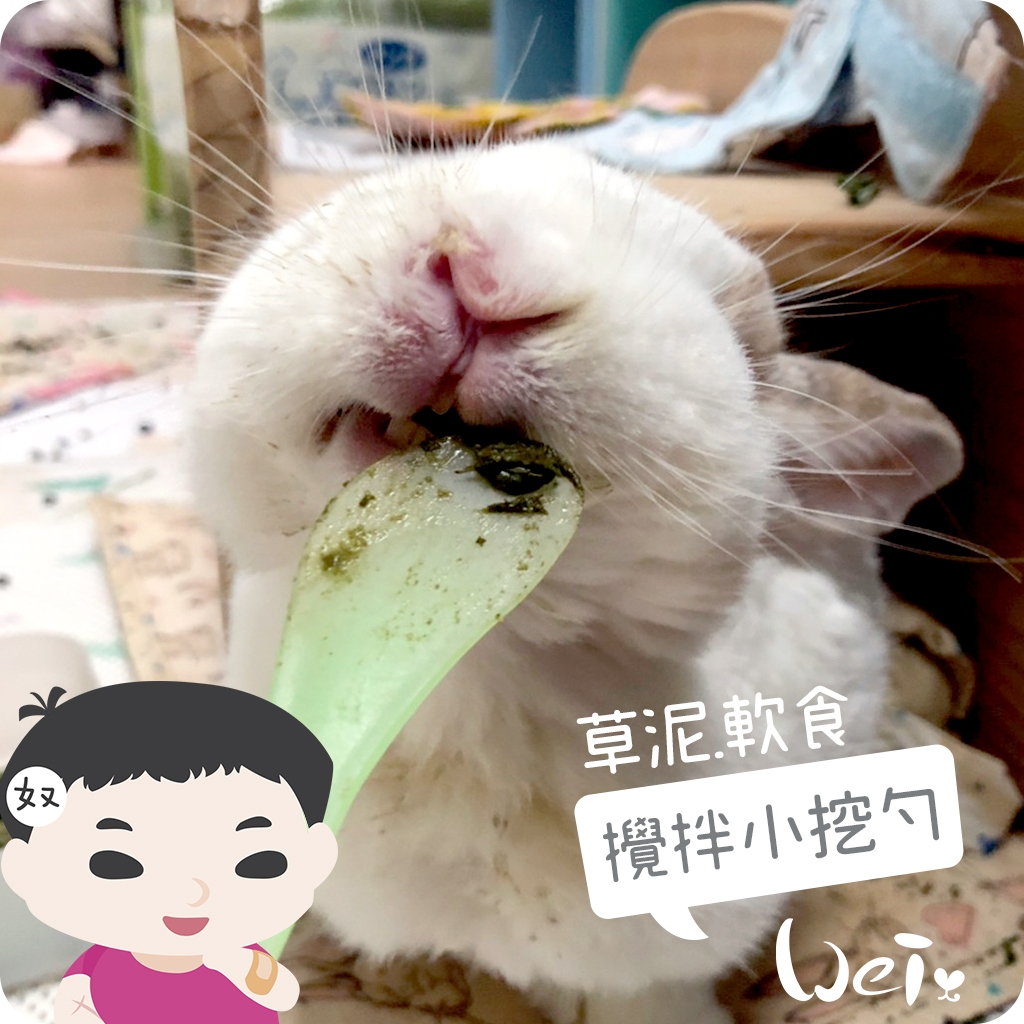 Wei He Ma-Soft Food/Grass Puree Stirring Small Spoon (Rabbit Guinea Pig ...