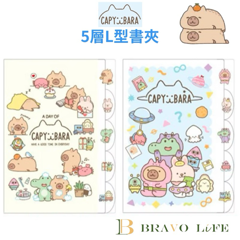 Kapibara 5-Layer L-Shaped Book Folder Five-Piece Capybara | Shopee Malaysia