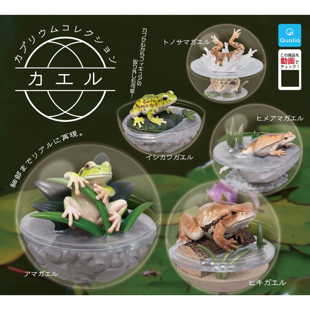 [Play Model Collection] Qualia Frog In The Capsule Toy/Realistic ...
