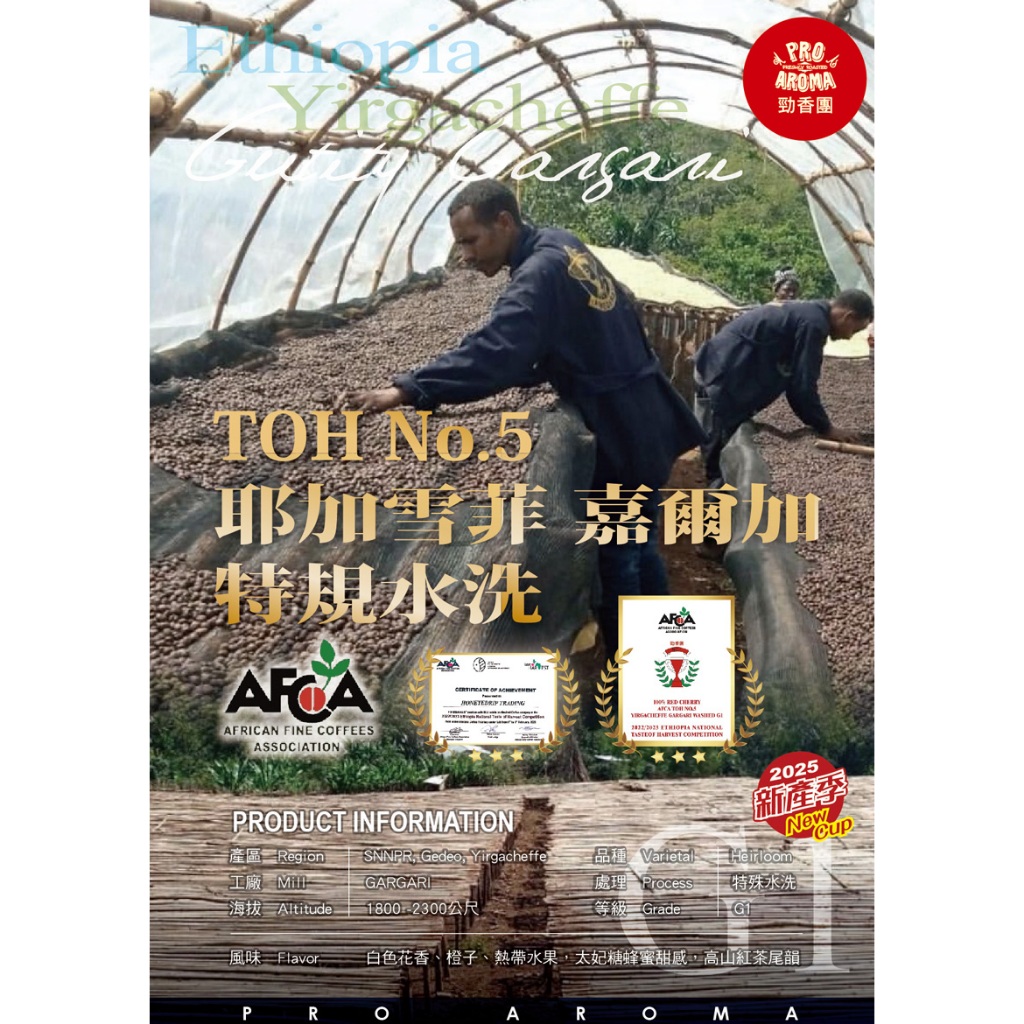 Jinxiang Group-TOH No.5 Yirgacheffe Garga Special Specification Washed ...