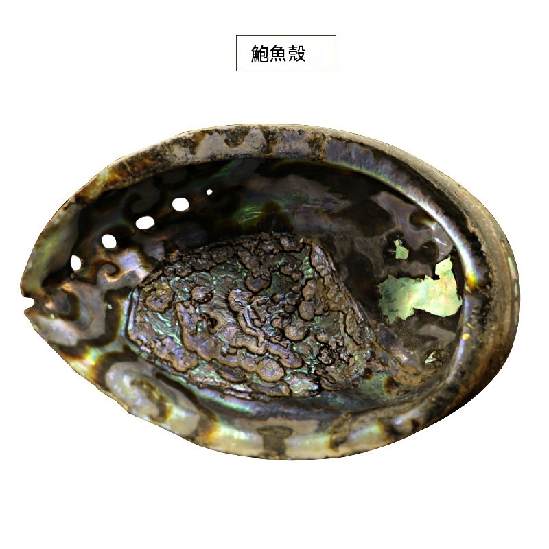 Smoked Burner White Sage Abalone Shell Holy Wood Tripod Shaman ...