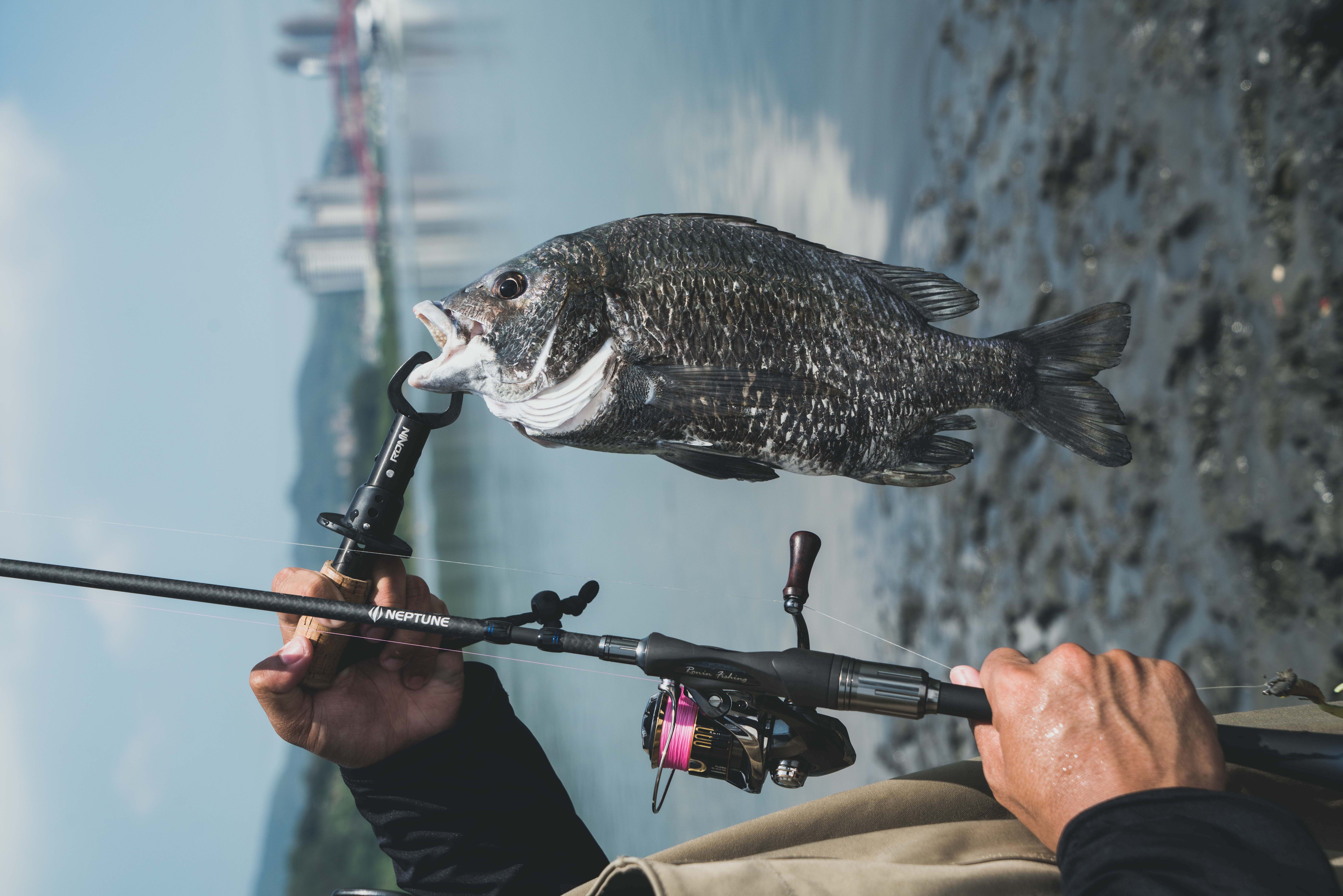 [Fisherman] No. 0.3 Extreme Fine Line RONIN ELEGANT X4 Micro Object PE ...
