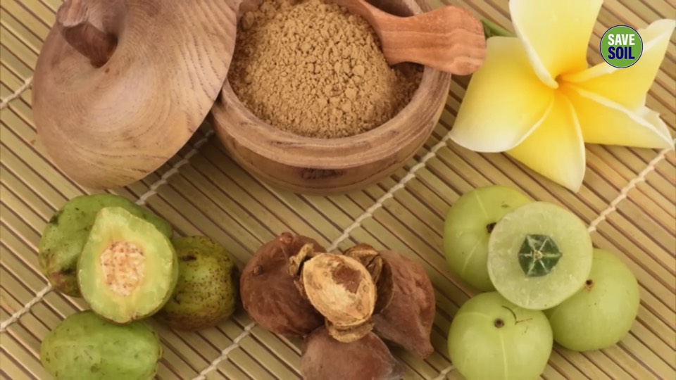 Isha Three Fruits (Powder)|Triphala|Ayurveda Ayurveda |India Imported ...