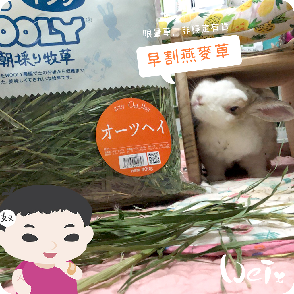 Wei He Ma-Japan WOOLY Highland Early Cut Oat Grass Sub-Packing (Low ...