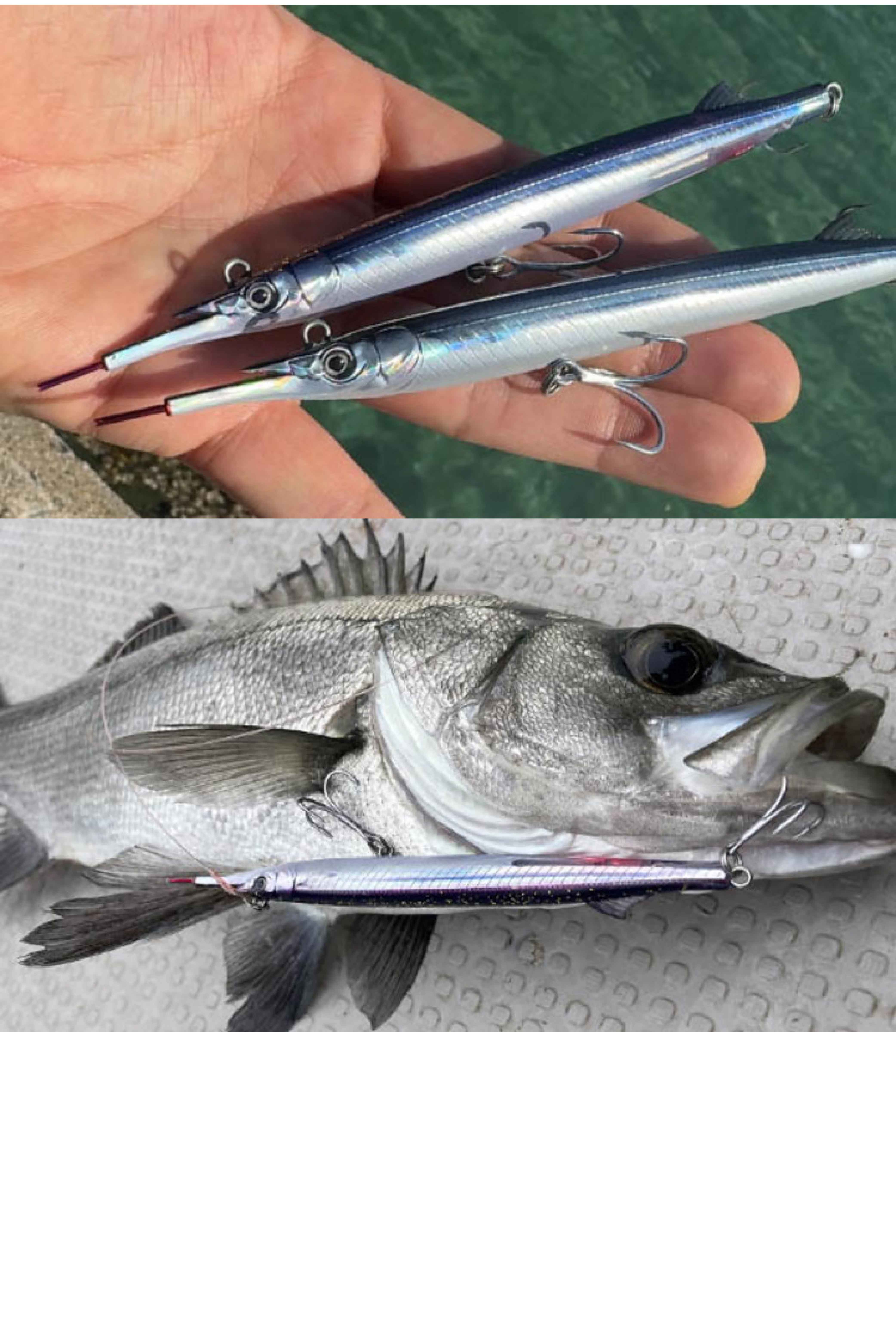 [Fisherman] LITTLE JACK SAYORIS 155m/35g, 135m/23g Water Needle Type ...