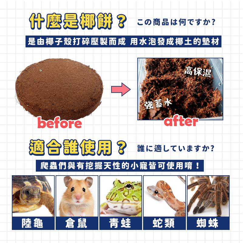 [Taiwan 24H Delivery] Coconut Soil Sterile Reptile Litter Cake Horned ...