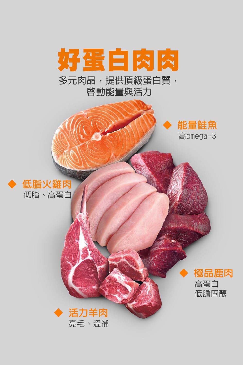 Nike SOLUTION Negis E10 Slim Turkey Meal-Indoor Cat Low-Calorie Formula Adult Feed Food Pet ...