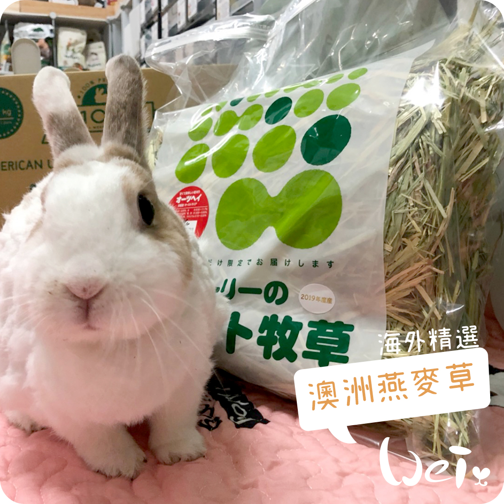 Wei He Ma-Japan WOOLY Overseas Selection Australian Oat Grass 850g ...