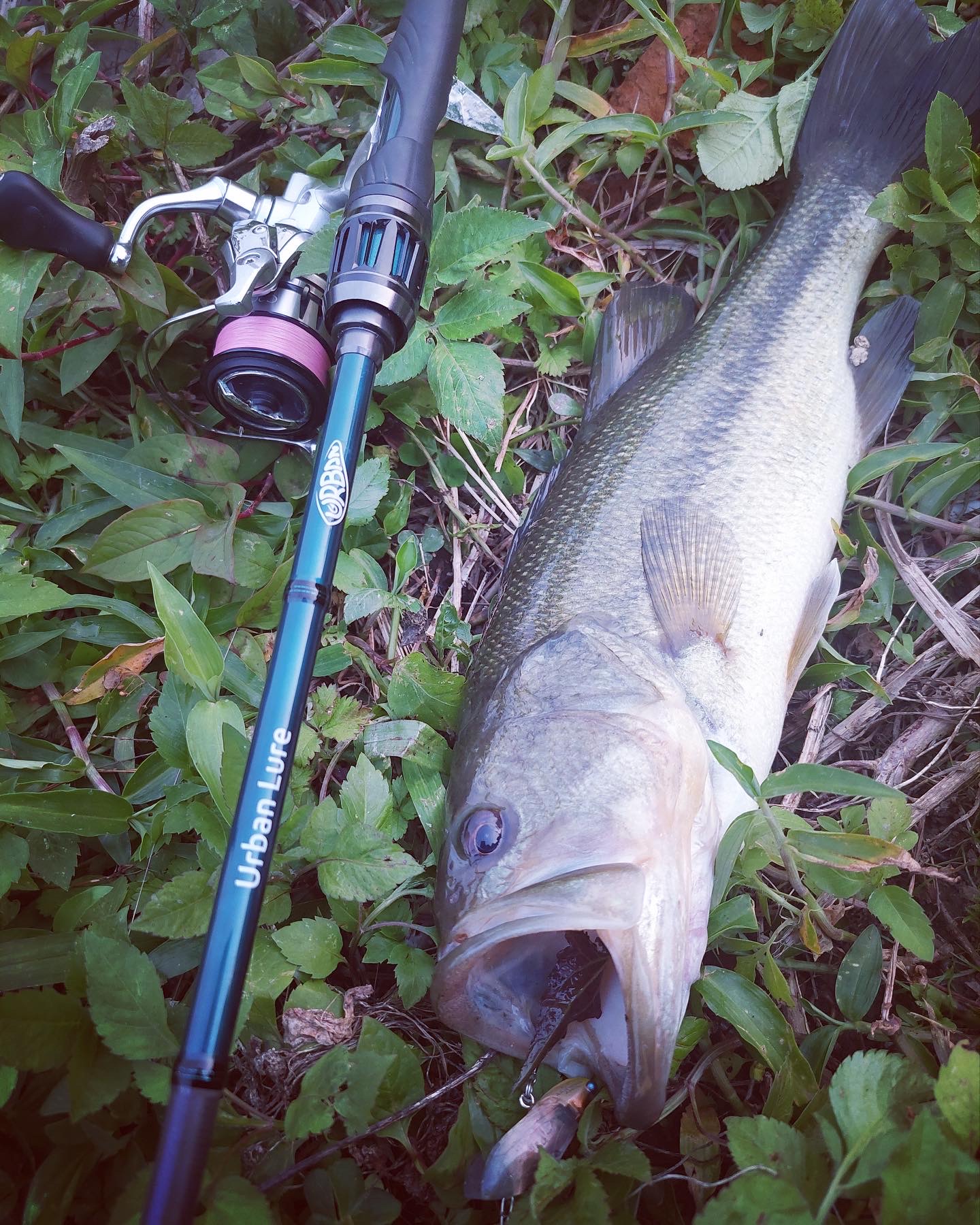 [Fisherman] No. 0.3 Extreme Fine Line RONIN ELEGANT X4 Micro Object PE ...