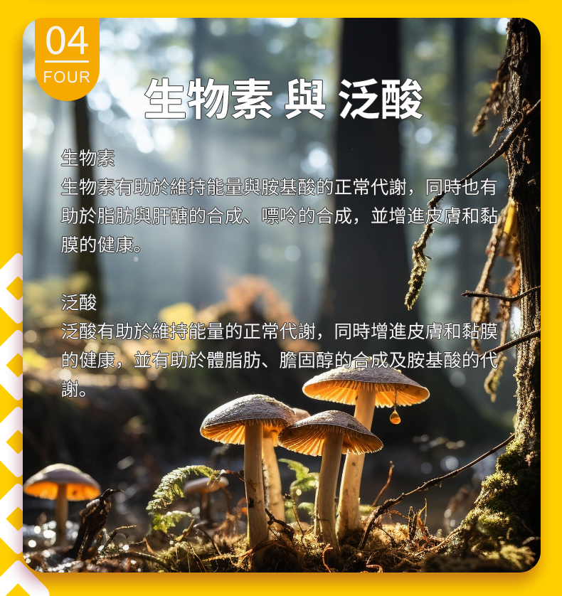 Vitamin B12 And Folic Acid B9 Tablets Cobalt Melamine Strawberry Flavor ...