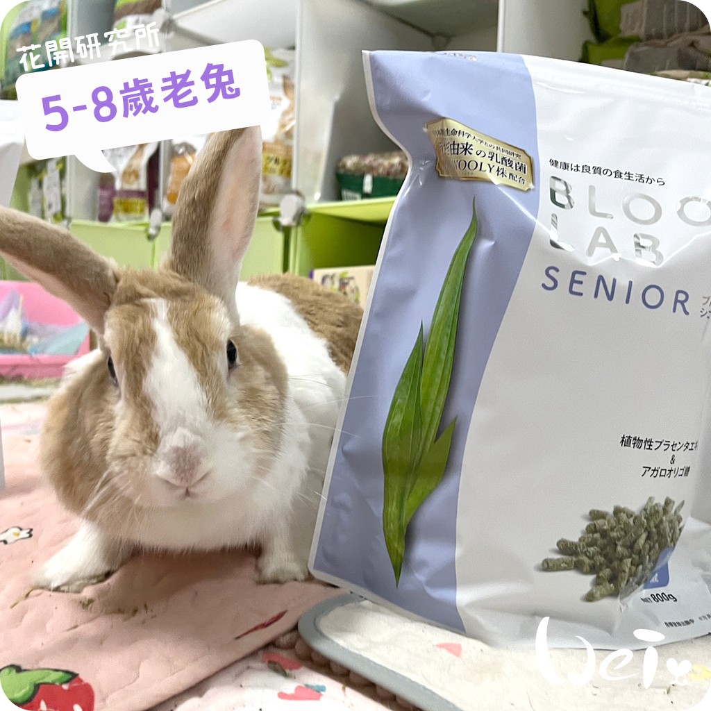 Weihema-Japan WOOLY Flower Blossom Research Institute 5-8 Years Old ...