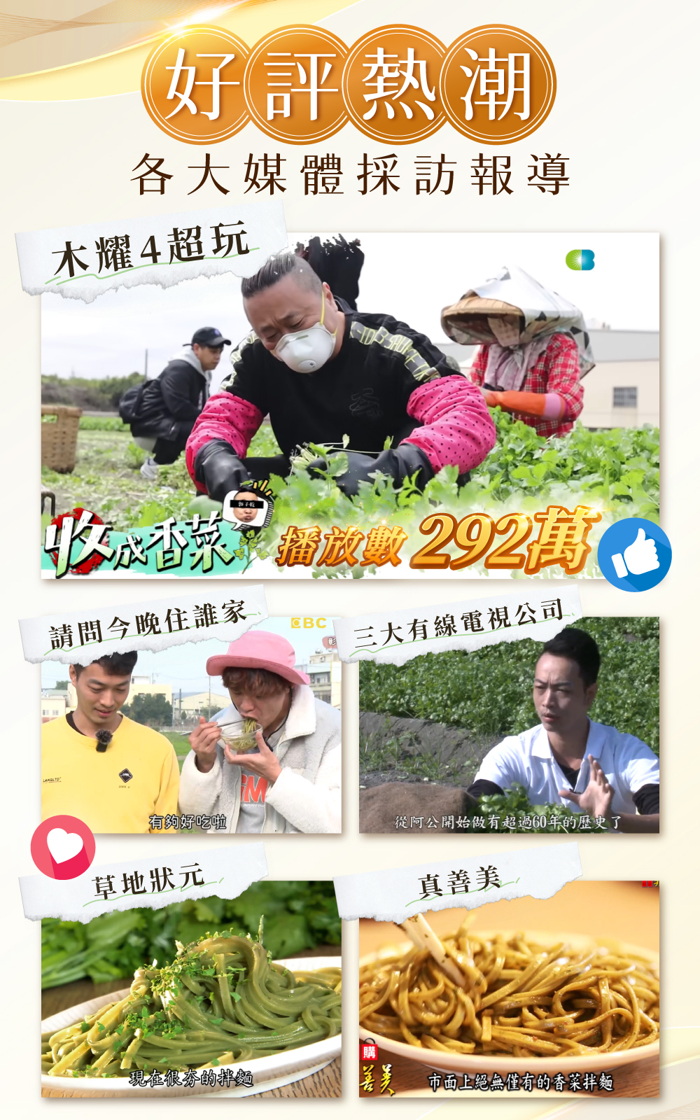 2 Pcs Coriander [Mr. General Agent] Taiwan's Largest Place Mixed ...