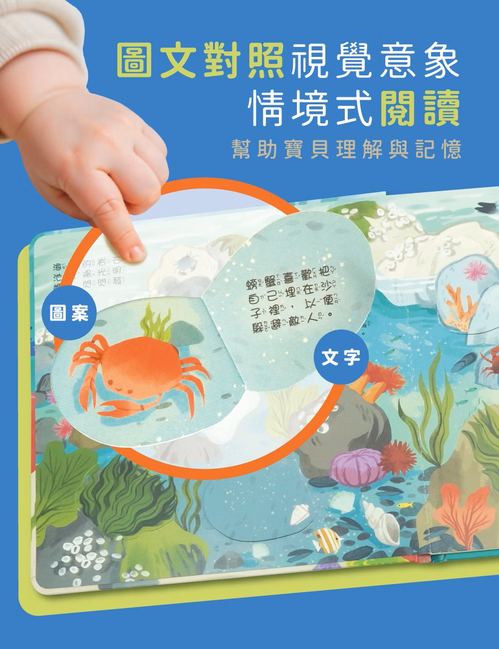 [Little Oxford] Situational Flip Book Series-Reading In The Ocean (Hole ...