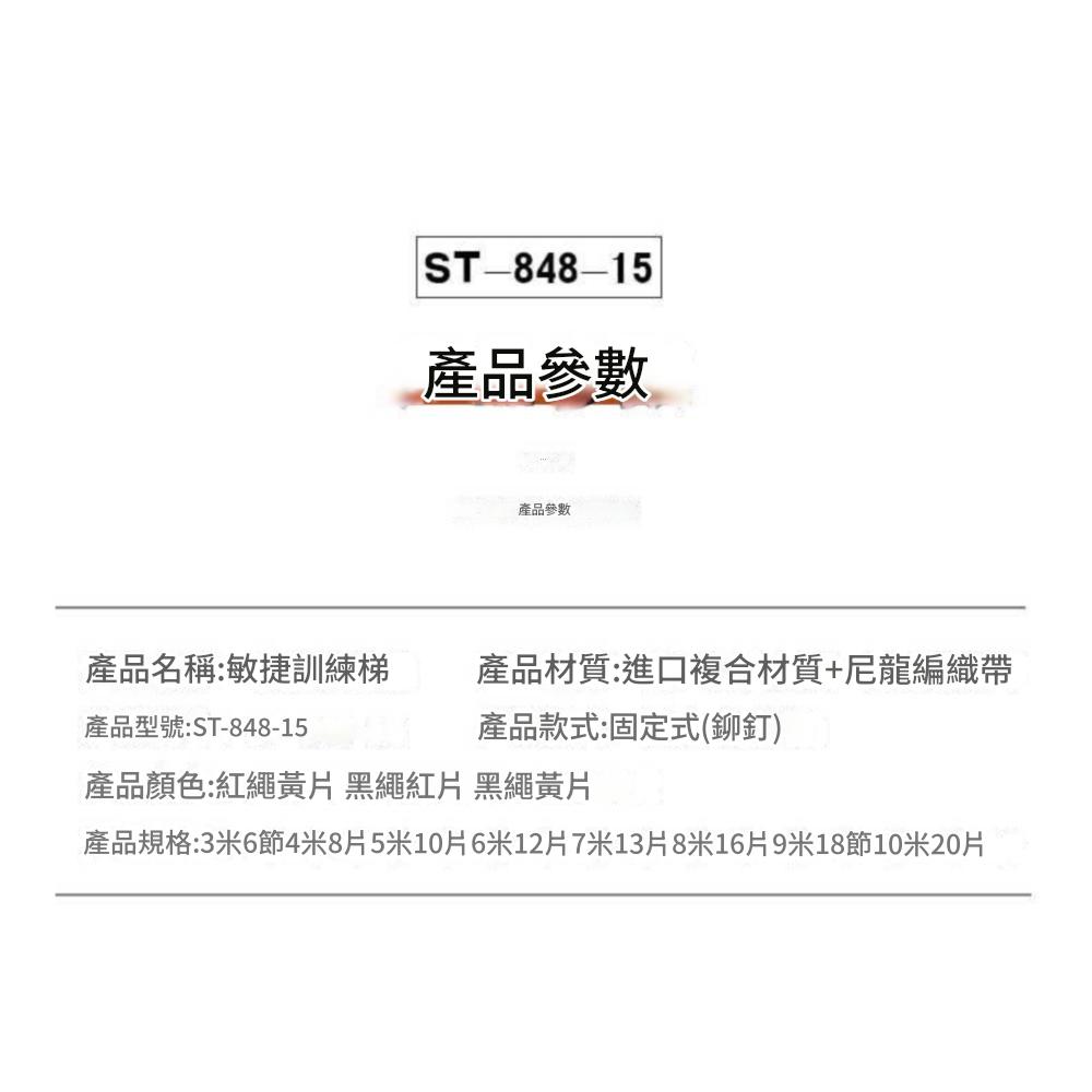 Fixed Agility Ladder Rope Speed Training Jumping Grid Track And Field ...