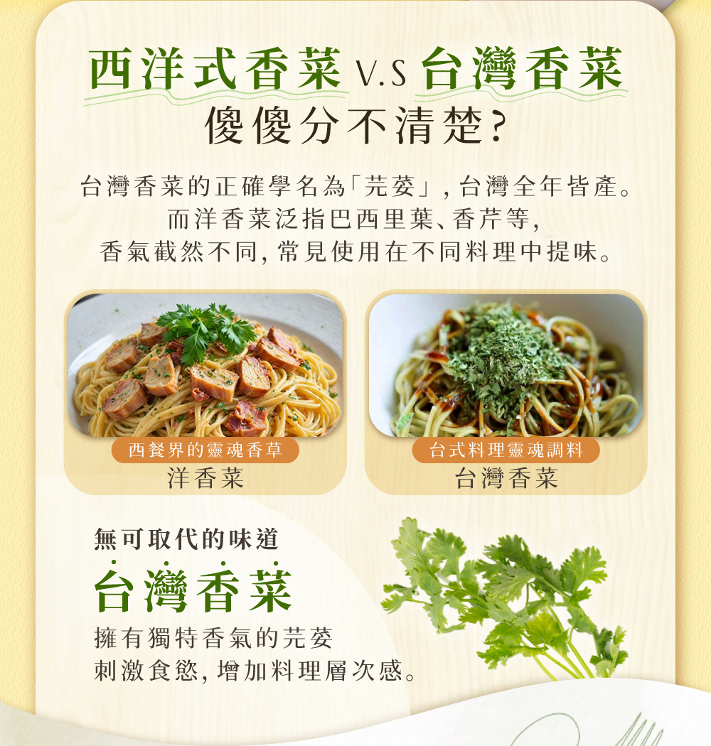 2 Pcs Coriander [Mr. General Agent] Taiwan's Largest Place Mixed ...