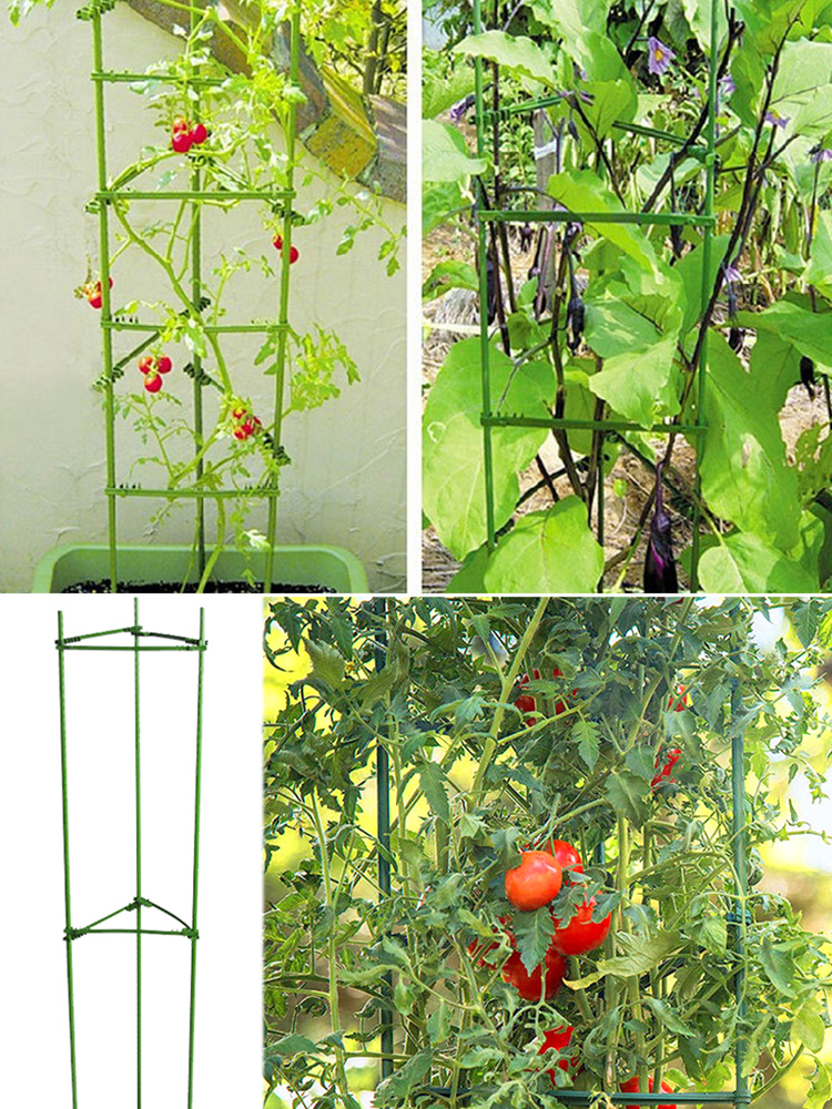 Tomato Rack Rattan Climbing Vegetable Rod Growing Support Potted Plant ...