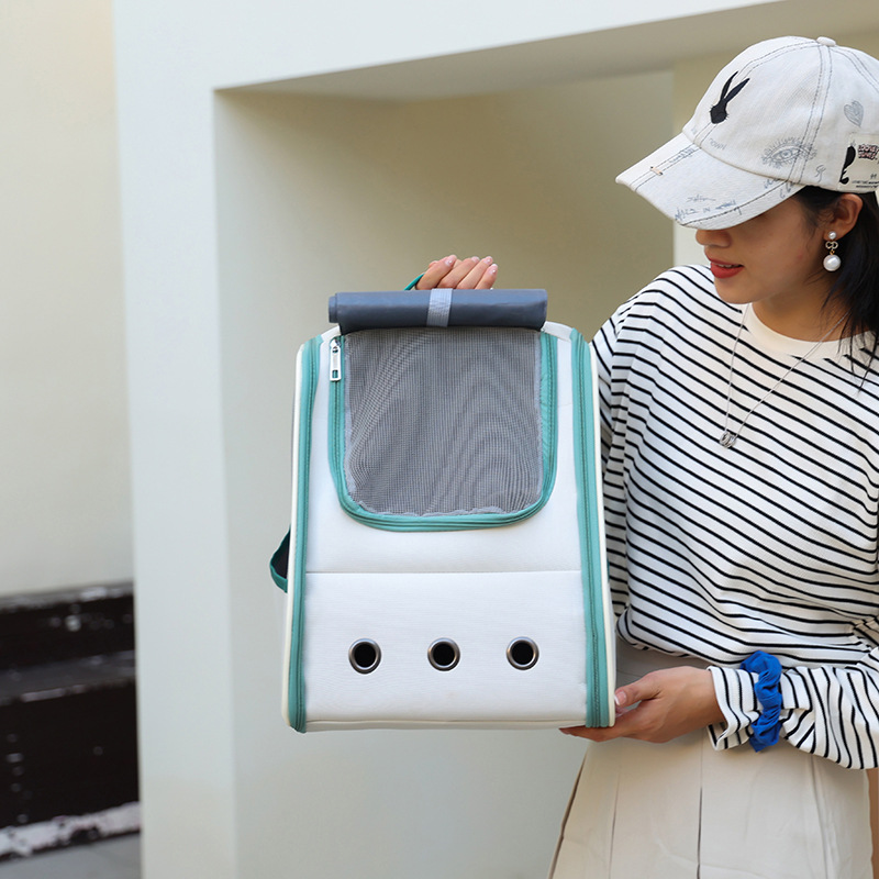 Pet Outing Bag Backpack Cat | Shopee Malaysia