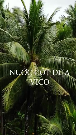 Vico - Box 330ml - Virgin Coconut Milk / ACP Rich Coconut Milk (HALAL ...