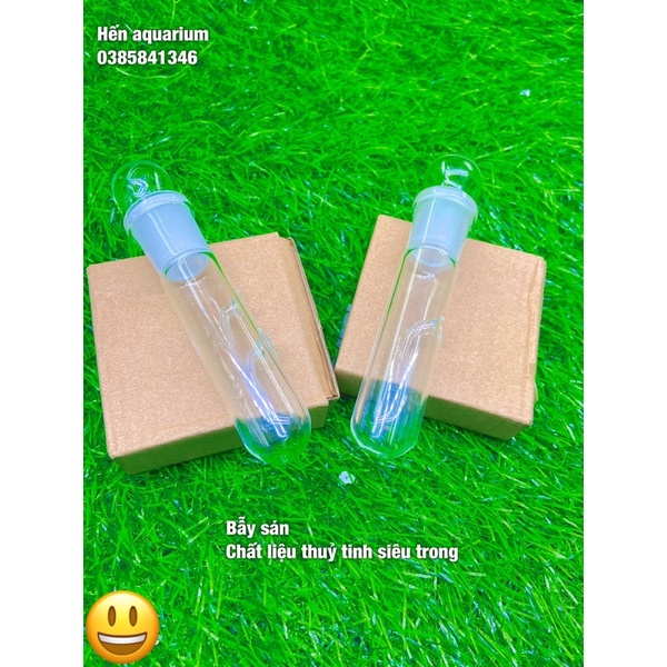 Traps for flukes and water bugs made of super clear glass | Shopee Malaysia