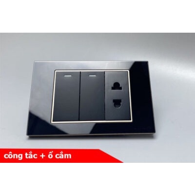 Electrical Switch + 2-Prong Wall Socket with Tempered Glass and Gold ...