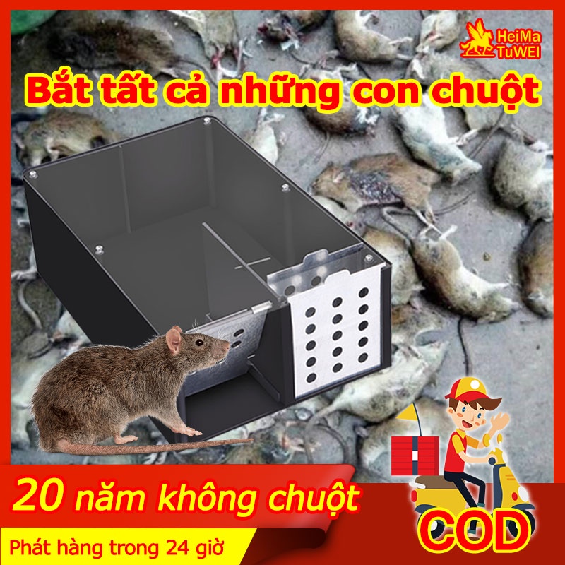 Catch All Mice, Cage Traps, Cage Smart Mouse Traps, Mouse Traps, Smart ...