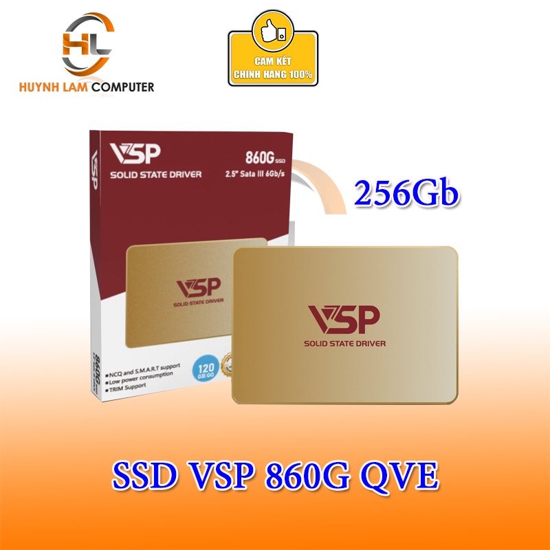 Vsp 256GB 860G QVE Genuine SSD distribution | Shopee Malaysia