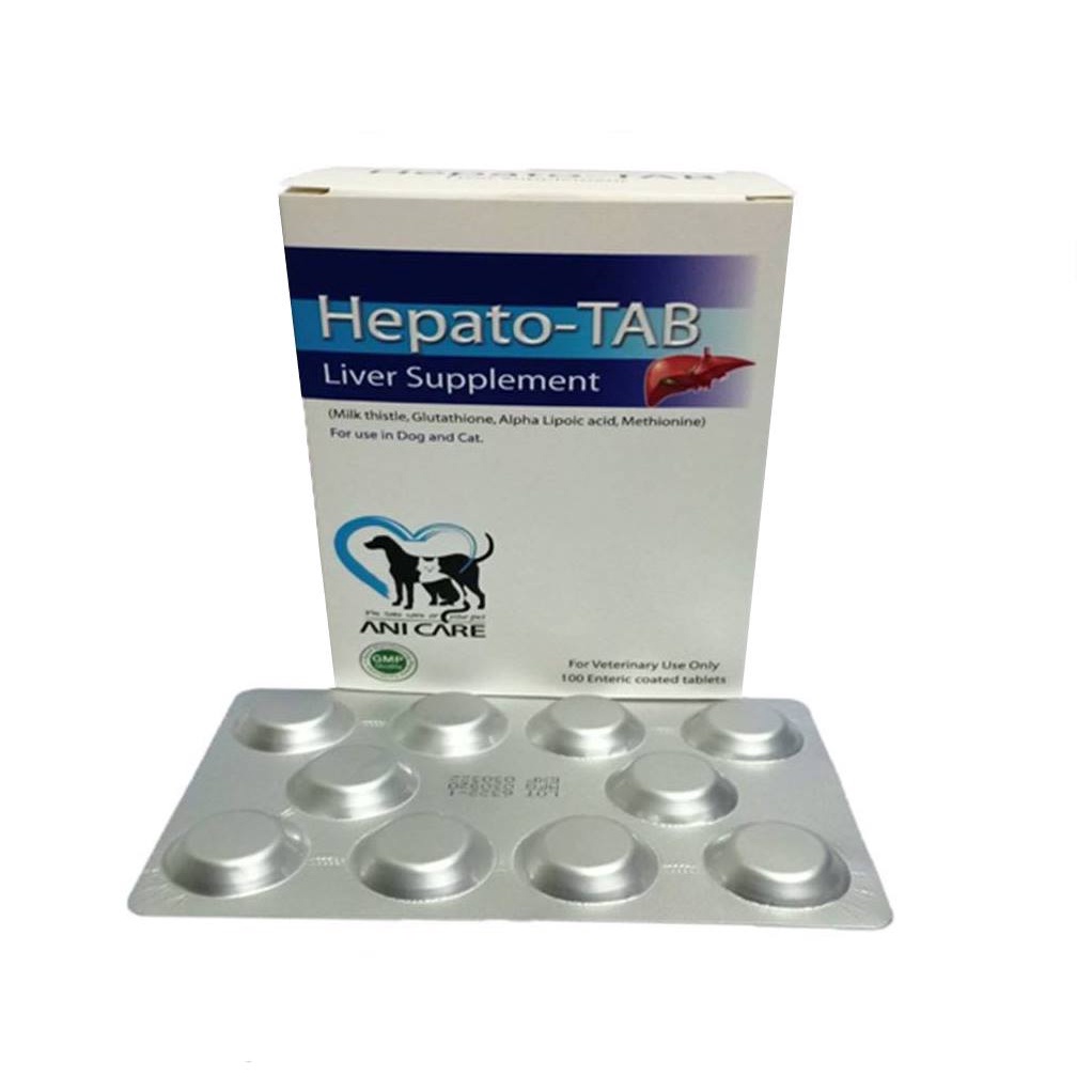 Hepato Tab pills - pills to support liver function (made in Thailand ...