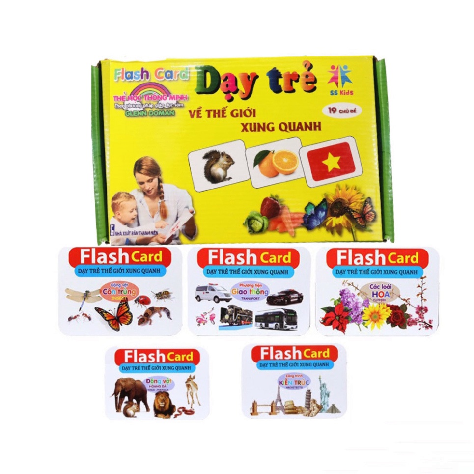 Smart Learning Card Set For Children With Large 14 Topics, Vietnamese ...