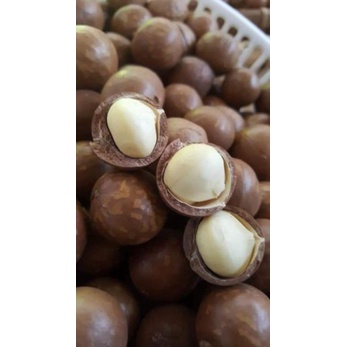 Australian MACCA Cans PET 500GR New Crispy And Nutritious With Openings ...