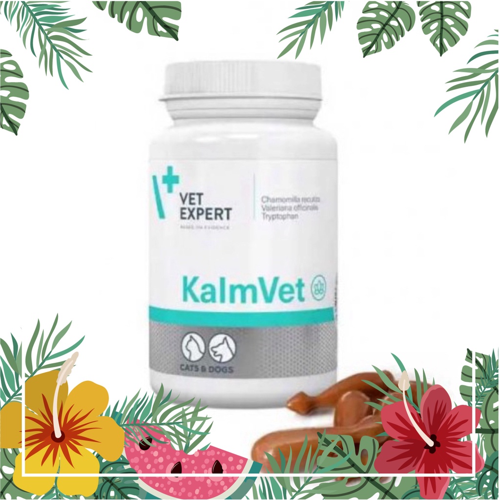 Odd 01 chewable tablet helps reduce stress and anxiety in dogs and cats ...