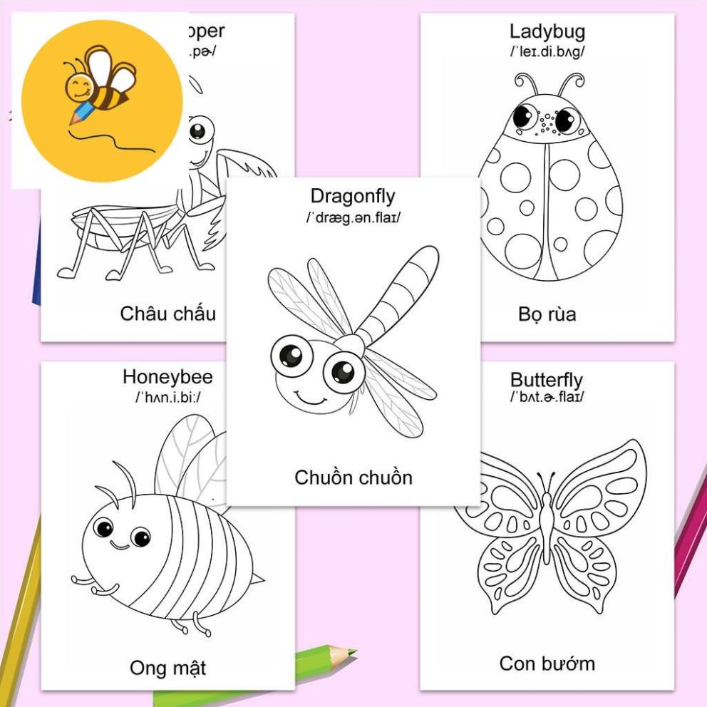Set of Bilingual Coloring Cards with Animal Theme for Children to Get ...