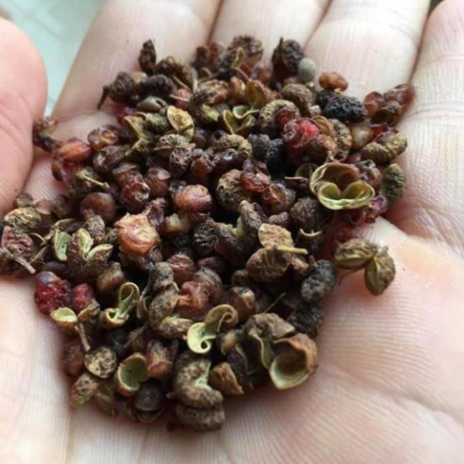 Pangolin seeds, pepper, Sichuan pepper spices for cooking Piece to eat ...