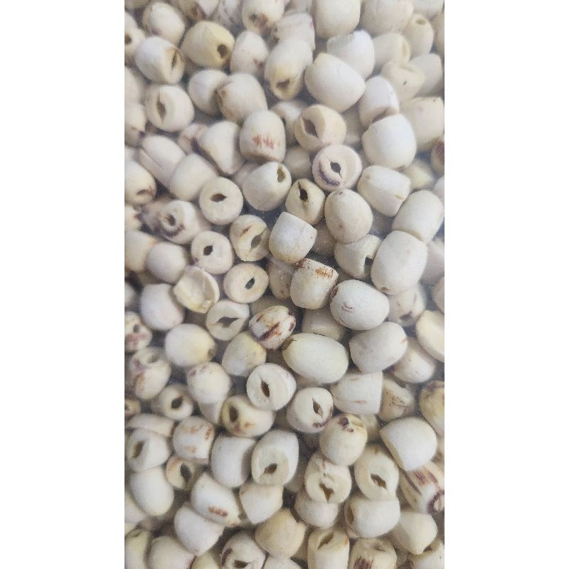 Hue dried lotus seeds 500g | Shopee Malaysia